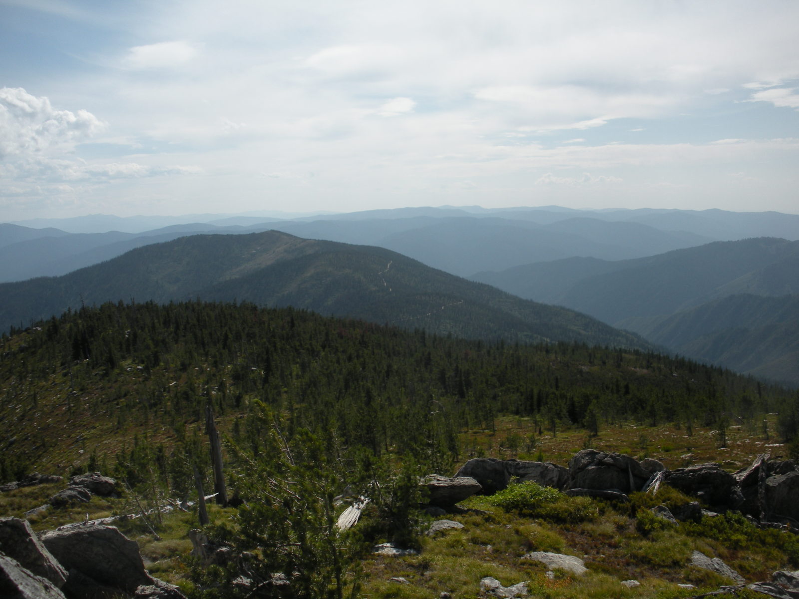 Big Fog Mountain – Dennis Pence