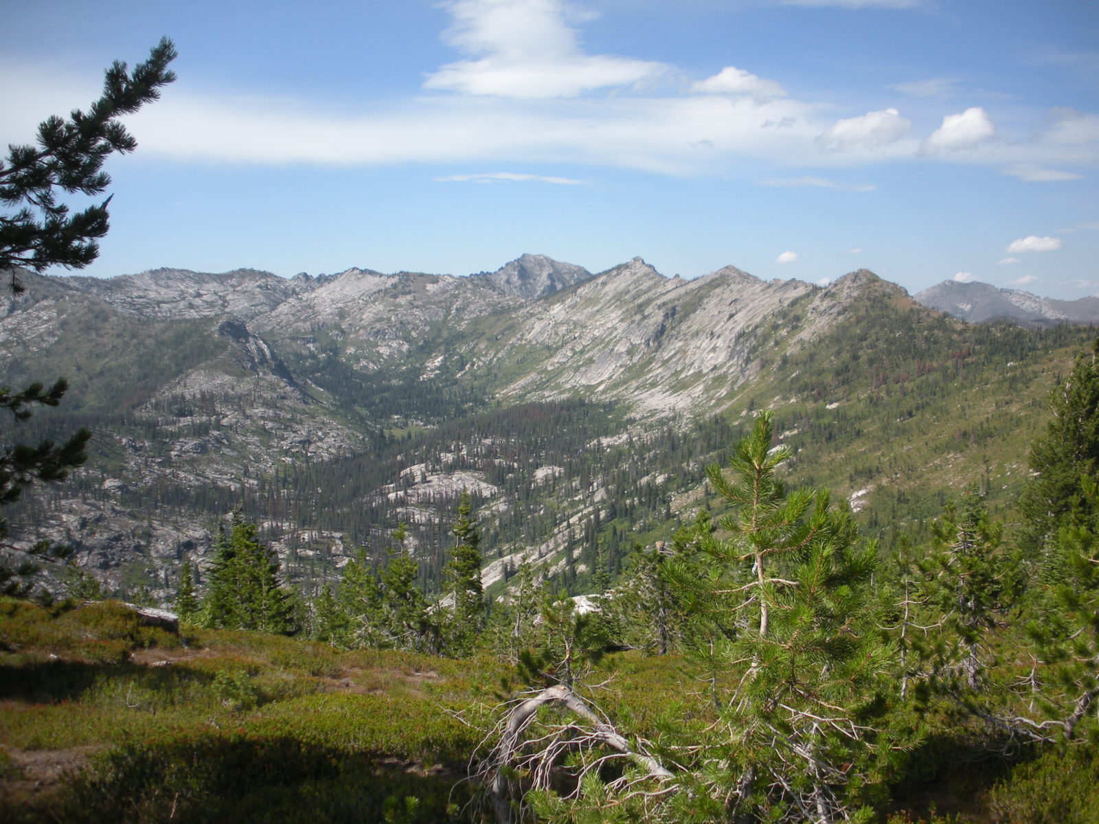 Big Fog Mountain – Dennis Pence