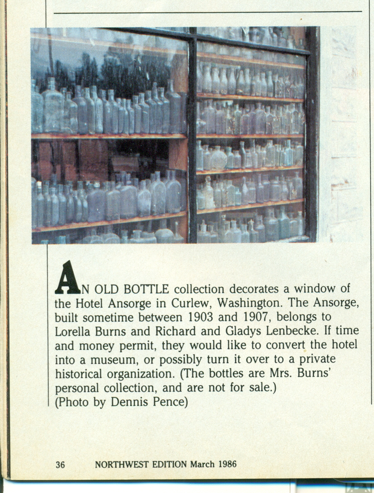 Old Bottle Collection – Dennis Pence